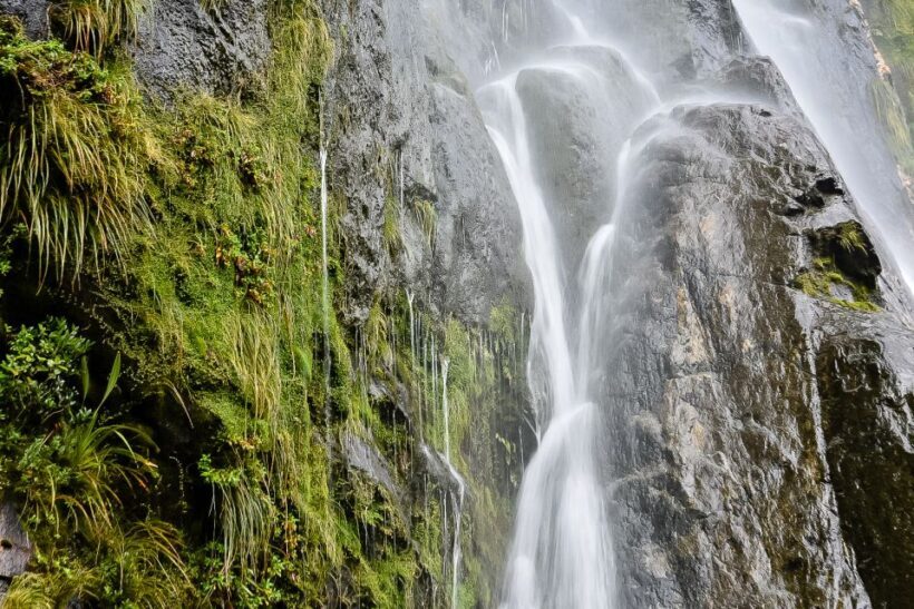 Guided Private Milford Sound Day Tour from Te Anau(Cruise In - Final Thoughts: Who Is This Tour For?