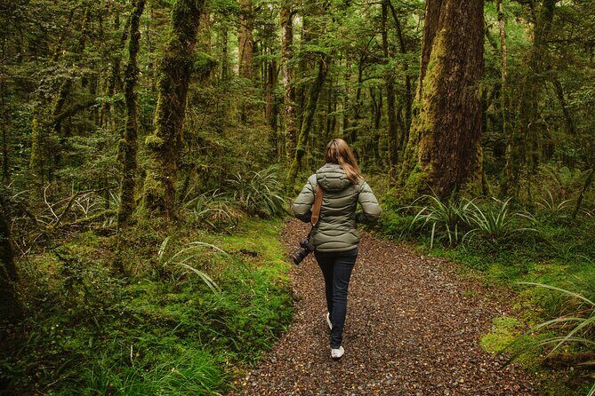 Guided Private Milford Sound Day Tour from Te Anau(Cruise Included) - The Itinerary: What to Expect