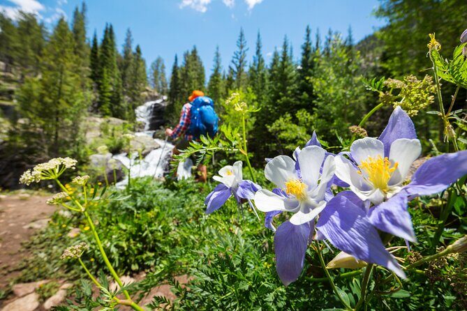 Guided Private Scenic Colorado Mountain Hiking - Half Day - Exploring Colorado’s Mountain Trails: A Review of Guided Private Scenic Colorado Mountain Hiking – Half Day