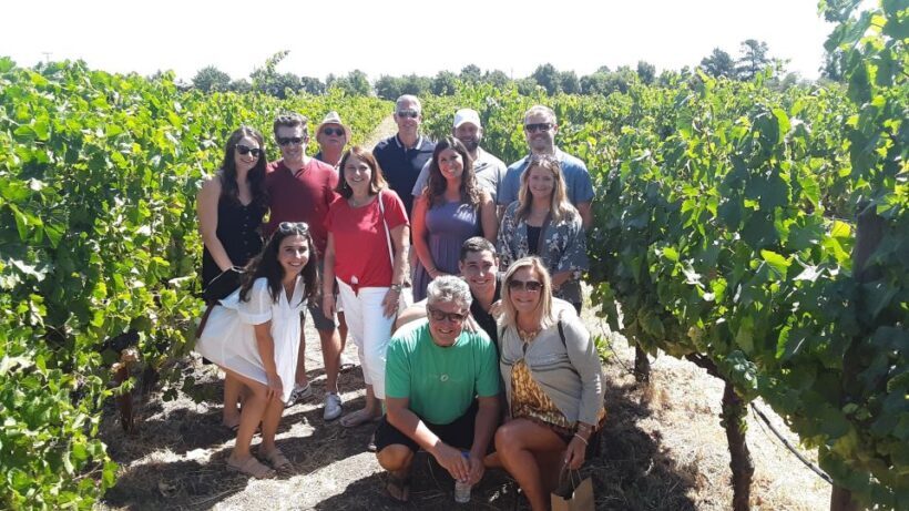 Guided Private Wine Tour to Napa and Sonoma Wine Country - The Sum Up: A Valuable, Personalized Wine Country Experience