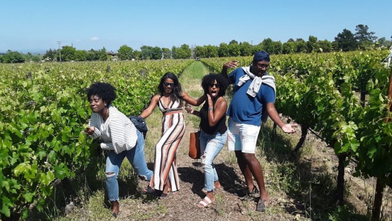Guided Private Wine Tour to Napa and Sonoma Wine Country - Authentic Experiences and Authentic Wines