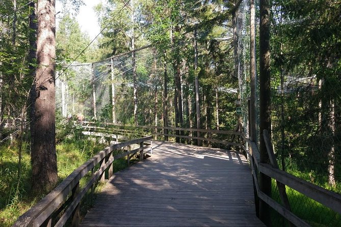 Guided Ranua Wildlife Park Tour, Small Group Adventure - Pickup and Transportation