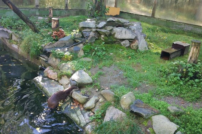 Guided Ranua Wildlife Park Tour, Small Group Adventure - Exploring the Park With a Professional Guide