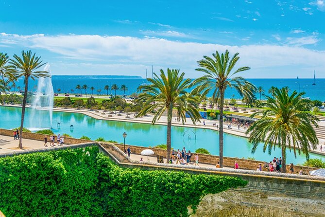 Guided Route through Palma with Cathedral and visit to Valldemossa (4H) - Detailed Breakdown of the Itinerary