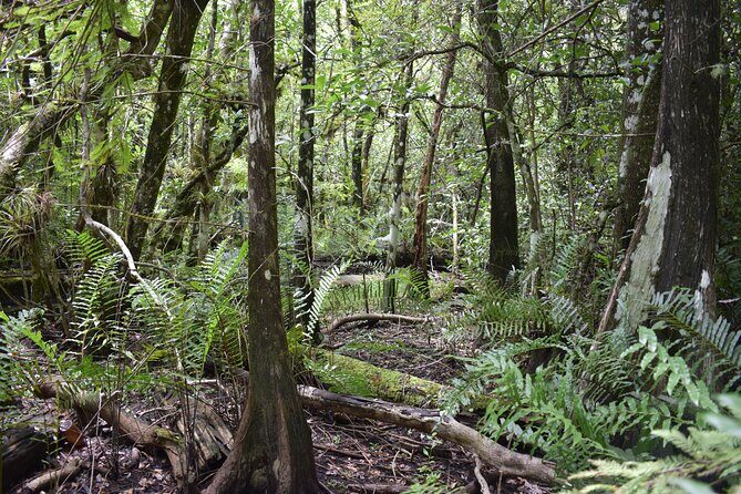 Guided Safari-Style Jeep Tour - The Value Proposition
