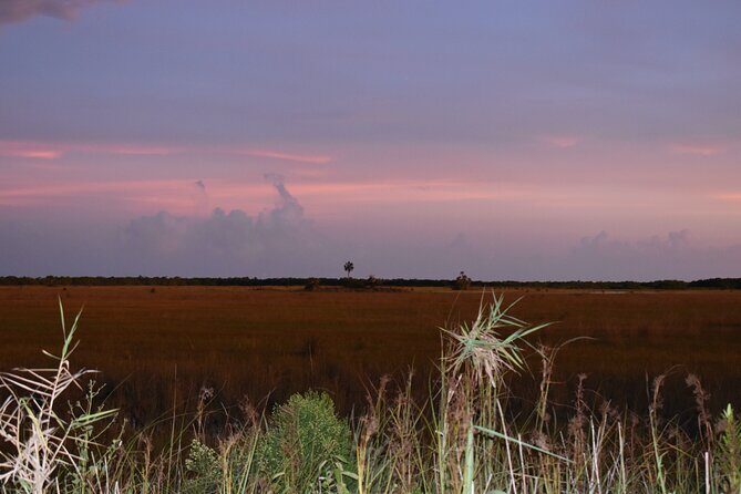 Guided Safari-Style Jeep Tour - Who Should Consider This Tour?