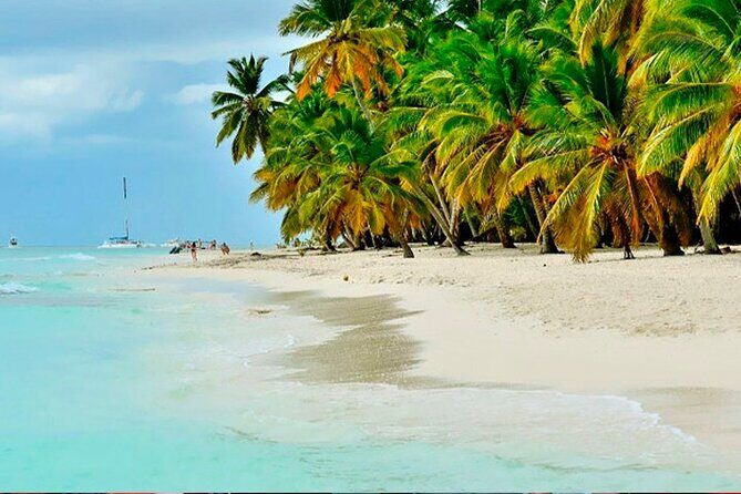 Guided Saona Island Tour in Punta Cana - What to Expect from the Itinerary