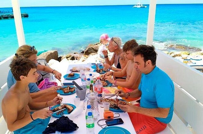 Guided Saona Island Tour in Punta Cana - Who Should Consider This Tour?