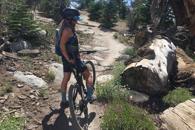 Guided Scenic Bike Experience above Lake Tahoe's East Shore - Authentic Experiences and What Makes This Tour Stand Out