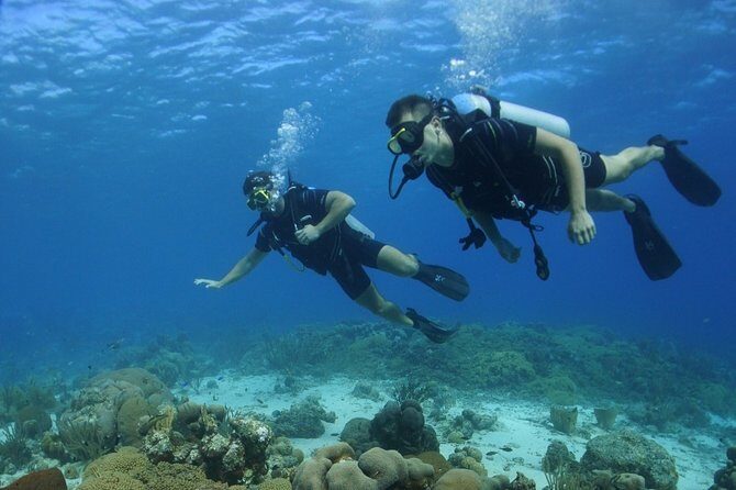 Guided Shore Dive for Certified Divers with Scubaçao (1 tank) - Key Points