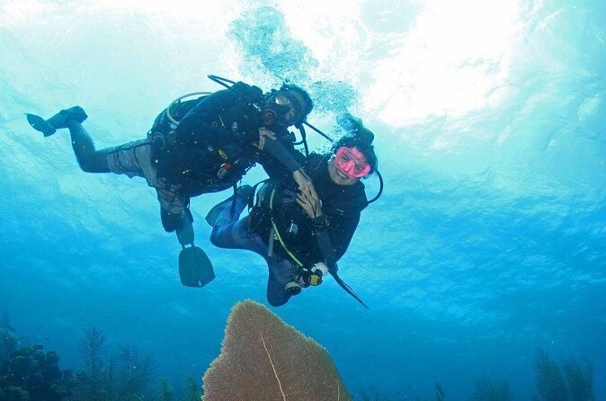 Guided Shore Dive for Certified Divers with Scubaçao (1 tank) - The Sum Up