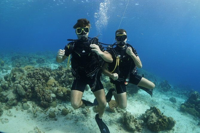 Guided Shore Dive for Certified Divers with Scubaçao (2 tank) - FAQ
