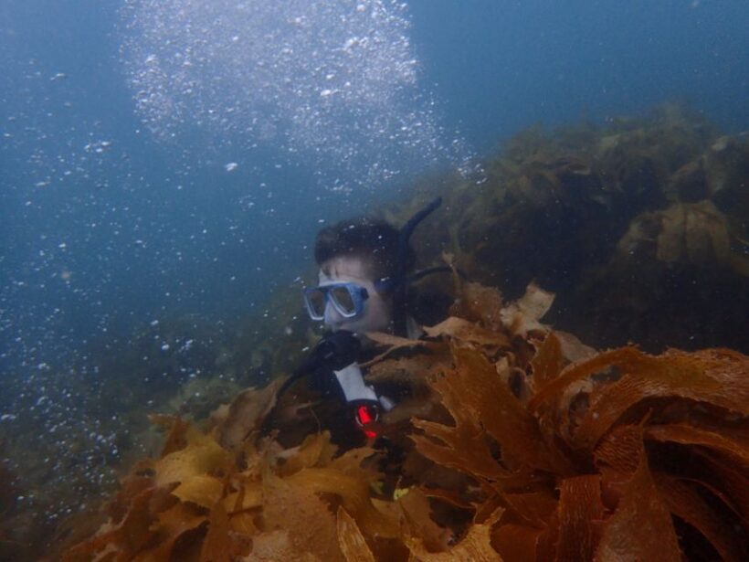 Guided Shore Dive Tour for Certified Diver - Value for Money