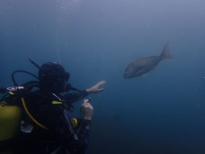 Guided Shore Dive Tour for Certified Diver - FAQ