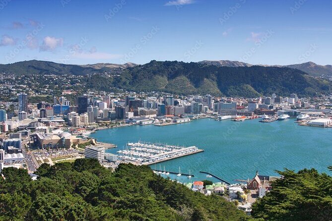 Guided Small Group Walking Tour in Wellington - Exploring the Wellington Botanic Gardens