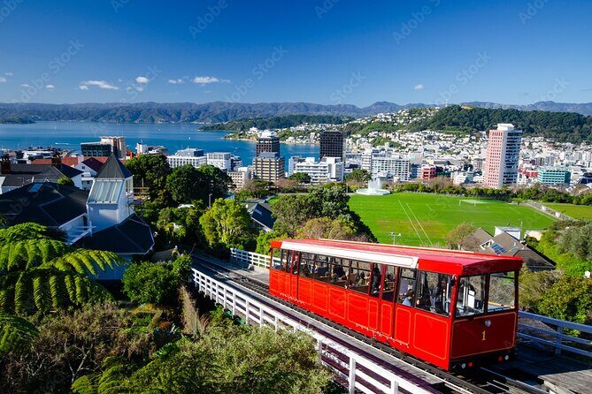 Guided Small Group Walking Tour in Wellington - Final thoughts