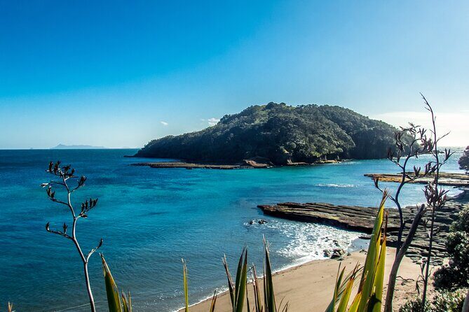 Guided Snorkel Experience, Advanced - The Sum Up: Who Will Love This Experience?