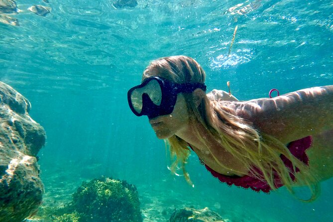Guided Snorkel Experience, Free Videos in West Palm Beach - Key Features of the Tour