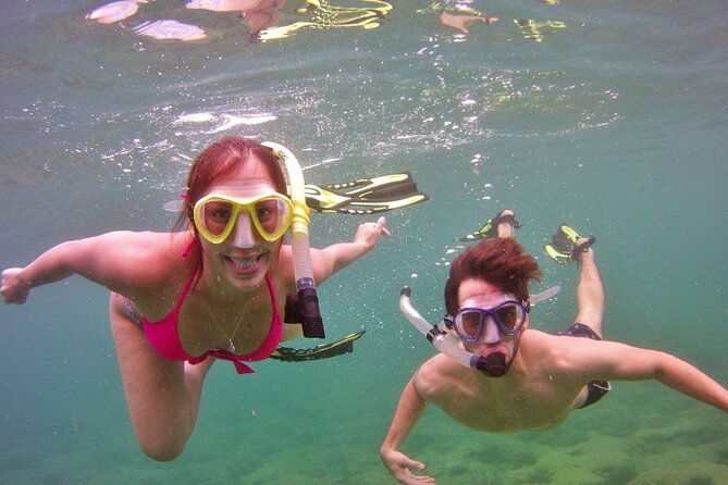 Guided Snorkel Experience in Fort Lauderdale - Why This Tour Stands Out