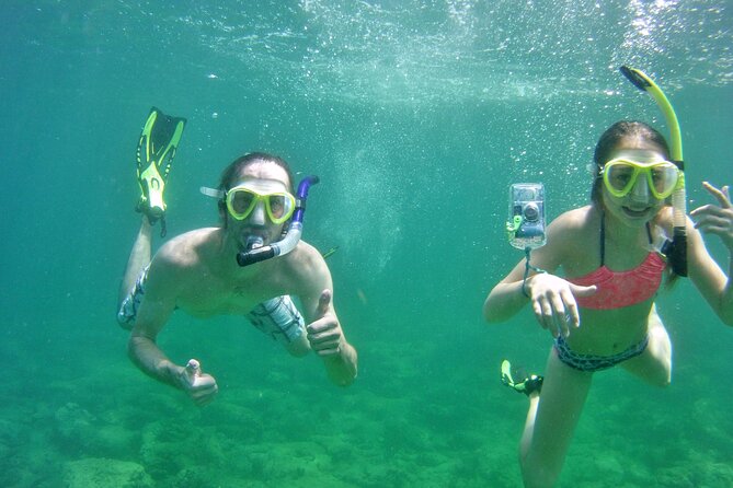 Guided Snorkel Experience in Fort Lauderdale - The Sum Up