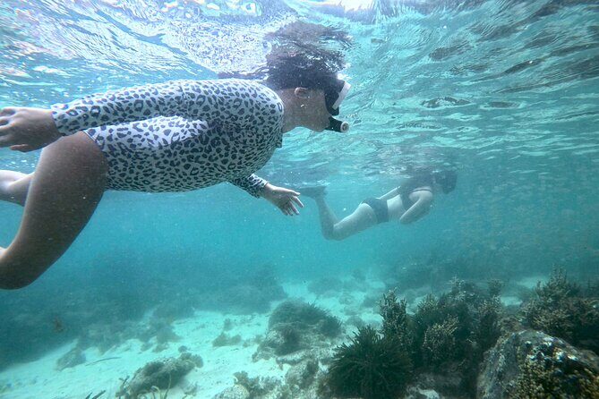 Guided Snorkel Tour - Introduction