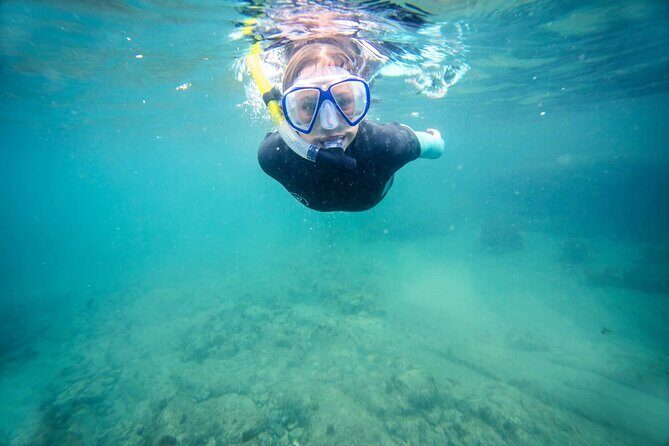 Guided Snorkeling and Island Exploration in Auckland - An Overview of the Tour Experience