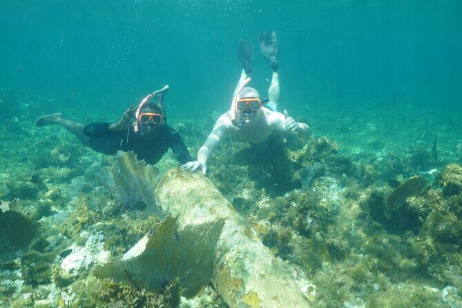 Guided Snorkeling at the Anchor and Cannon Reef in Negril - What You’ll Learn During the Tour