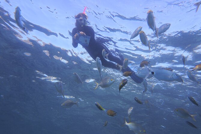 Guided Snorkeling Experience - Who Should Consider This Experience?