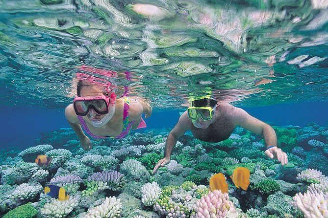 Guided Snorkeling Experience in Caleta de Fuste - The Sum Up