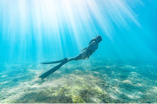 Guided Snorkeling for Beginners with Flotation Wetsuit - Final Thoughts