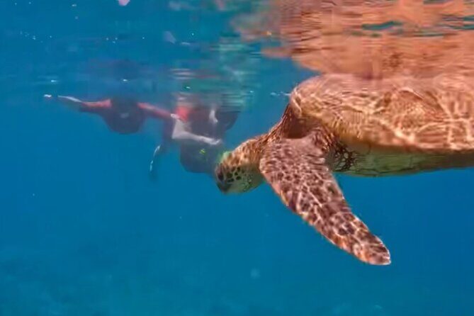 Guided Snorkeling for Beginners with Flotation Wetsuit - FAQ