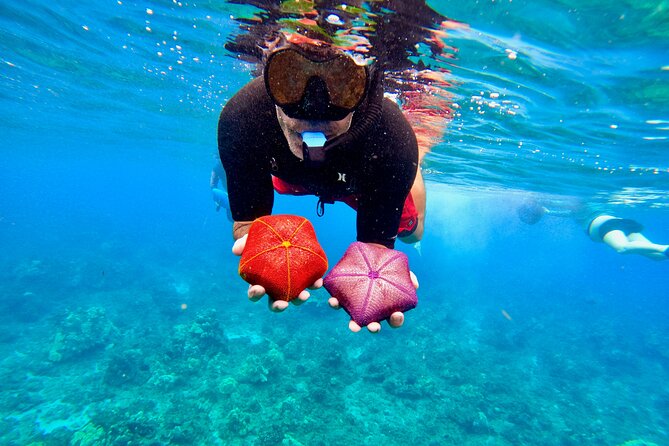 Guided Snorkeling Tour for Non-Swimmers Wailea Beach - The Authentic Experience and Marine Life Encounters