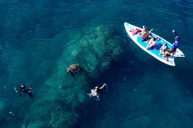 Guided Snorkeling Tour for Non-Swimmers Wailea Beach - Practical Details: What Travelers Need to Know