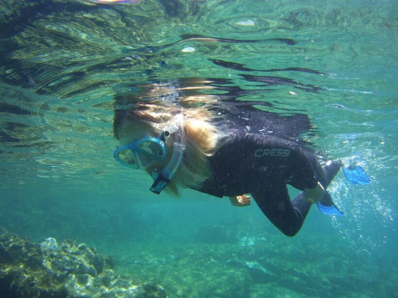 Guided Snorkelling experience in south of Gran Canaria - Key Points