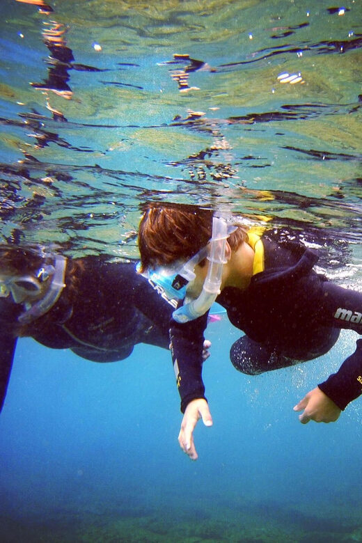 Guided Snorkelling experience in south of Gran Canaria - An Authentic Look at the Snorkel Tour