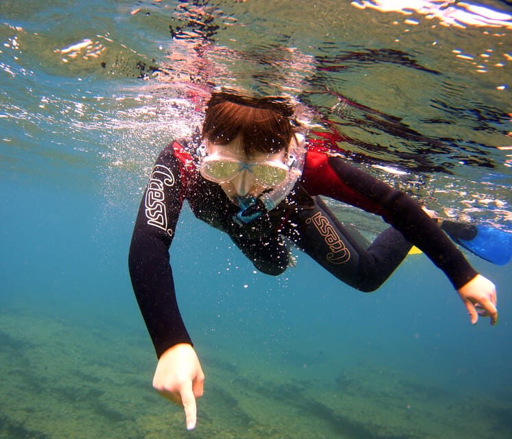 Guided Snorkelling experience in south of Gran Canaria - The Experience Provider: Puerto Rico Diving