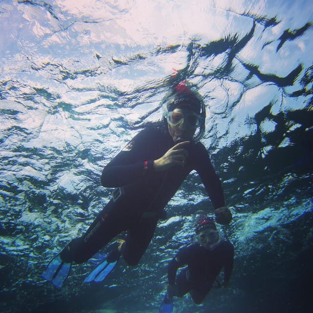 Guided Snorkelling experience in south of Gran Canaria - Who Will Love This Tour?