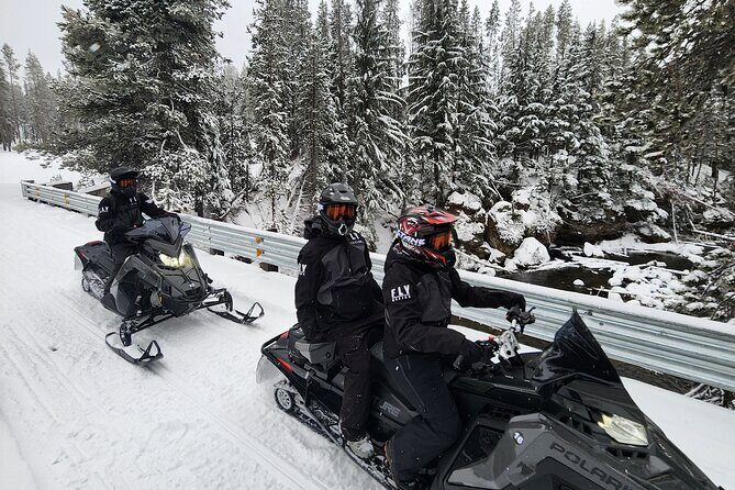 Guided Snowmobile Tours In The National Volcanic Monument - Pricing and Value