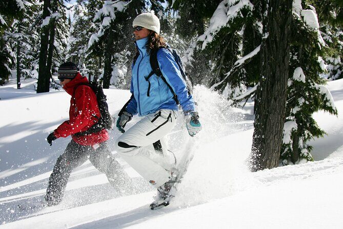 Guided Snowshoe Tour in Bend, Oregon - Setting the Scene: What the Tour Offers