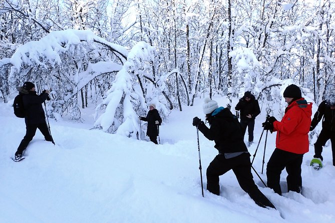Guided Snowshoe Walk on Tromsoya Island in Tromso - Experience Highlights