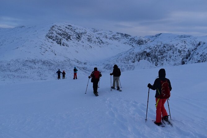 Guided Snowshoe Walk on Tromsoya Island in Tromso - Season and Availability