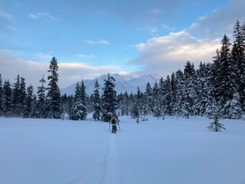 Guided Snowshoeing Adventure from Seward, Alaska - Who Will Love This Tour?