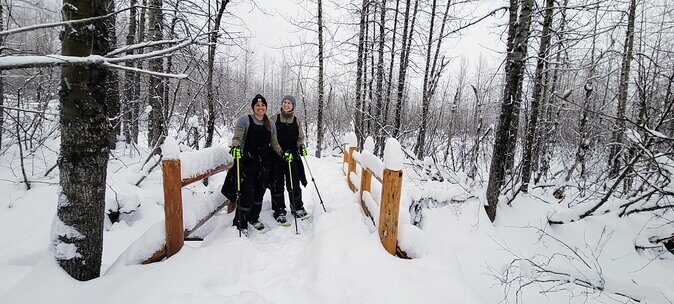 Guided Snowshoeing Adventure in Seward, Alaska - Who Should Consider This Tour?