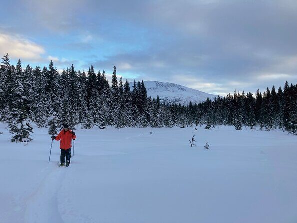 Guided Snowshoeing Adventure in Seward, Alaska - Final Thoughts: Is It Worth It?