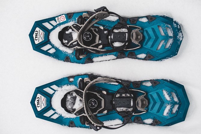 Guided Snowshoeing Tour In Pyhätunturi - Key Points