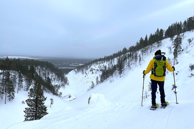Guided Snowshoeing Tour In Pyhätunturi - The Experience’s Strengths and Possible Drawbacks
