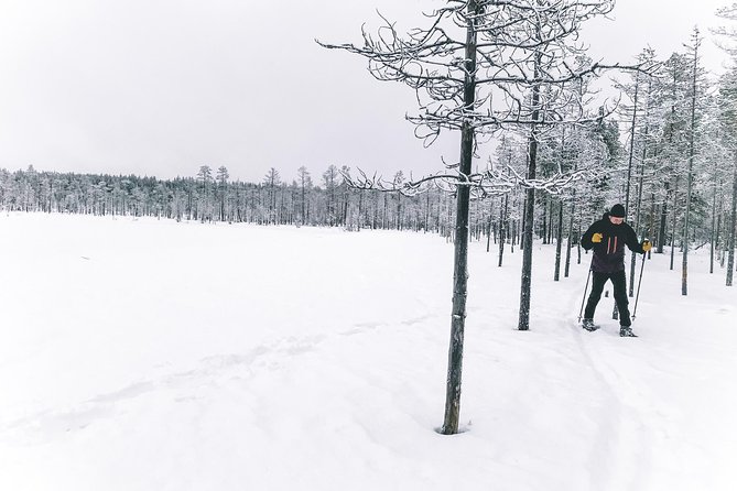 Guided Snowshoeing Tour In Pyhätunturi - Frequently Asked Questions