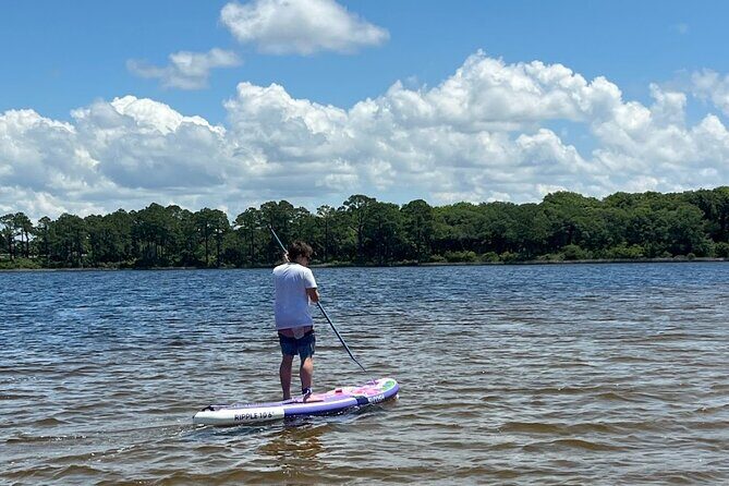 Guided Stand up Paddle Activity - An In-Depth Look at the Eco Paddle Tour