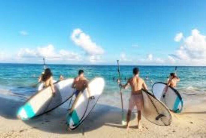 Guided Stand Up Paddleboard Tour from Margaritaville - What to Expect During the Tour