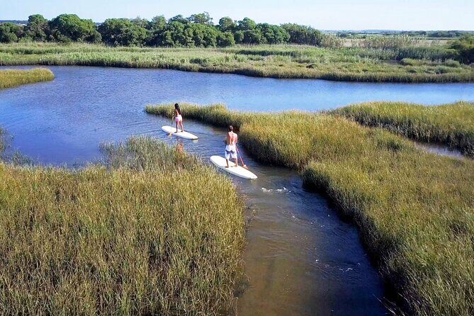 Guided Stand Up Paddleboarding Activity in Hilton Head Island - The Sum Up
